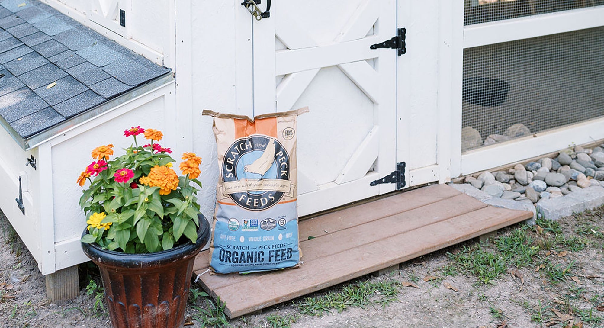 What Kind of Chicken Feed Do Your Chickens Need? Your Guide to Feed Se