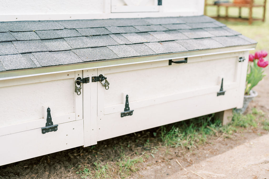 Bee Jeweled Coop Essentials: Selecting the Best Hardware and Accessori