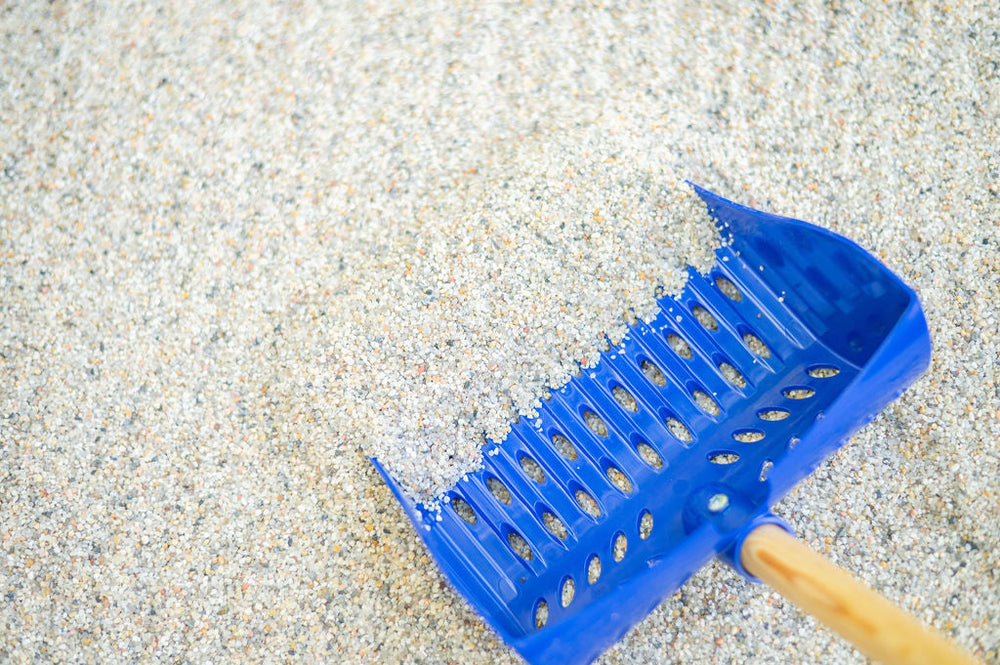 Chicken Coop Bedding: Quick + Detailed Comparison Of Chi