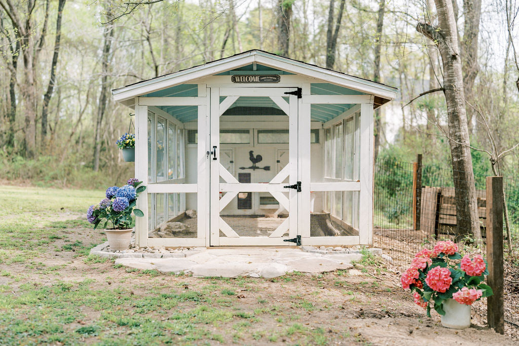 Chicken Coop Building Plans
