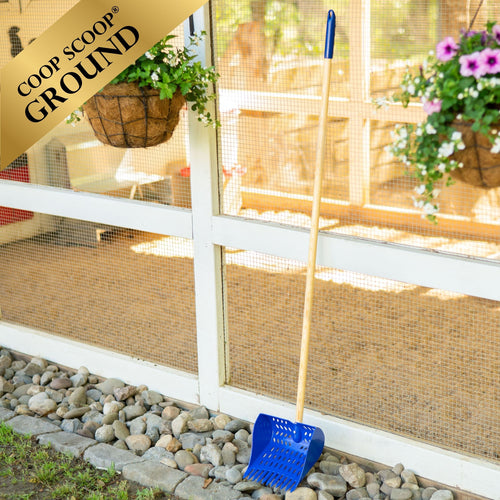 The Coop Scoop® | 2-in-1 Chicken Poop Scoop & Rake | Sand Sifting ...