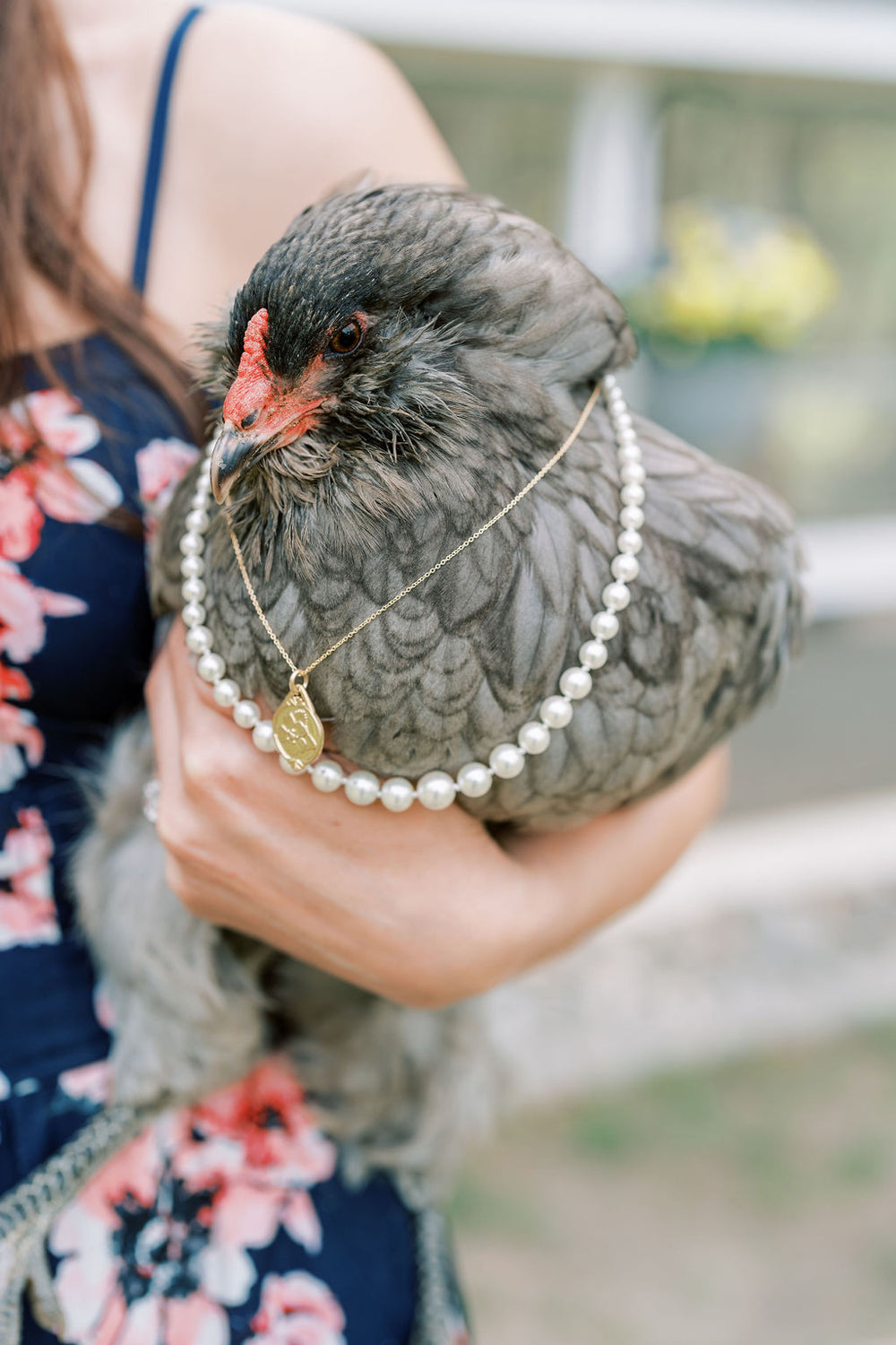 bee.jeweled.coop