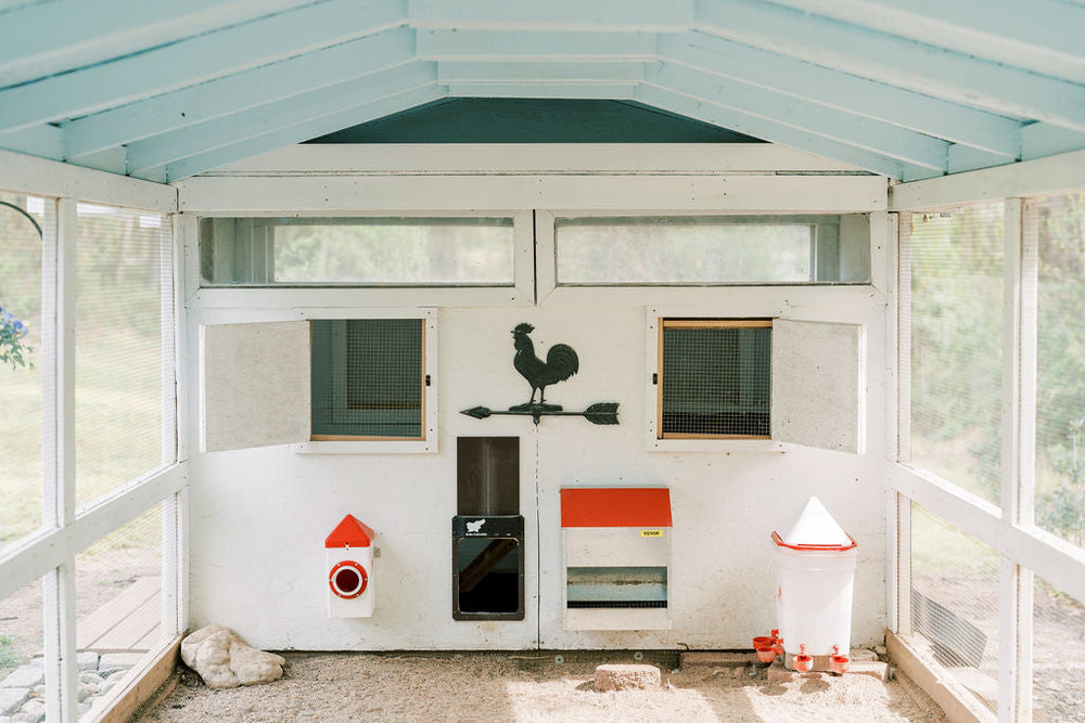 Bee Jeweled Coop (Run Right) | Chicken Coop Building Plans | 6-12 Chic