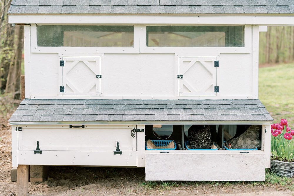 Bee Jeweled Coop (Run Right) | Chicken Coop Building Plans | 6-12 Chic