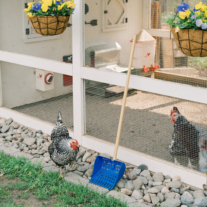 The Coop Scoop® | 2-in-1 Chicken Poop Scoop & Rake | Sand Sifting ...